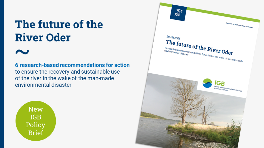 Lessons learned from the River Oder disaster: researchers ... Lessons learned from the River Oder disaster: researchers ...